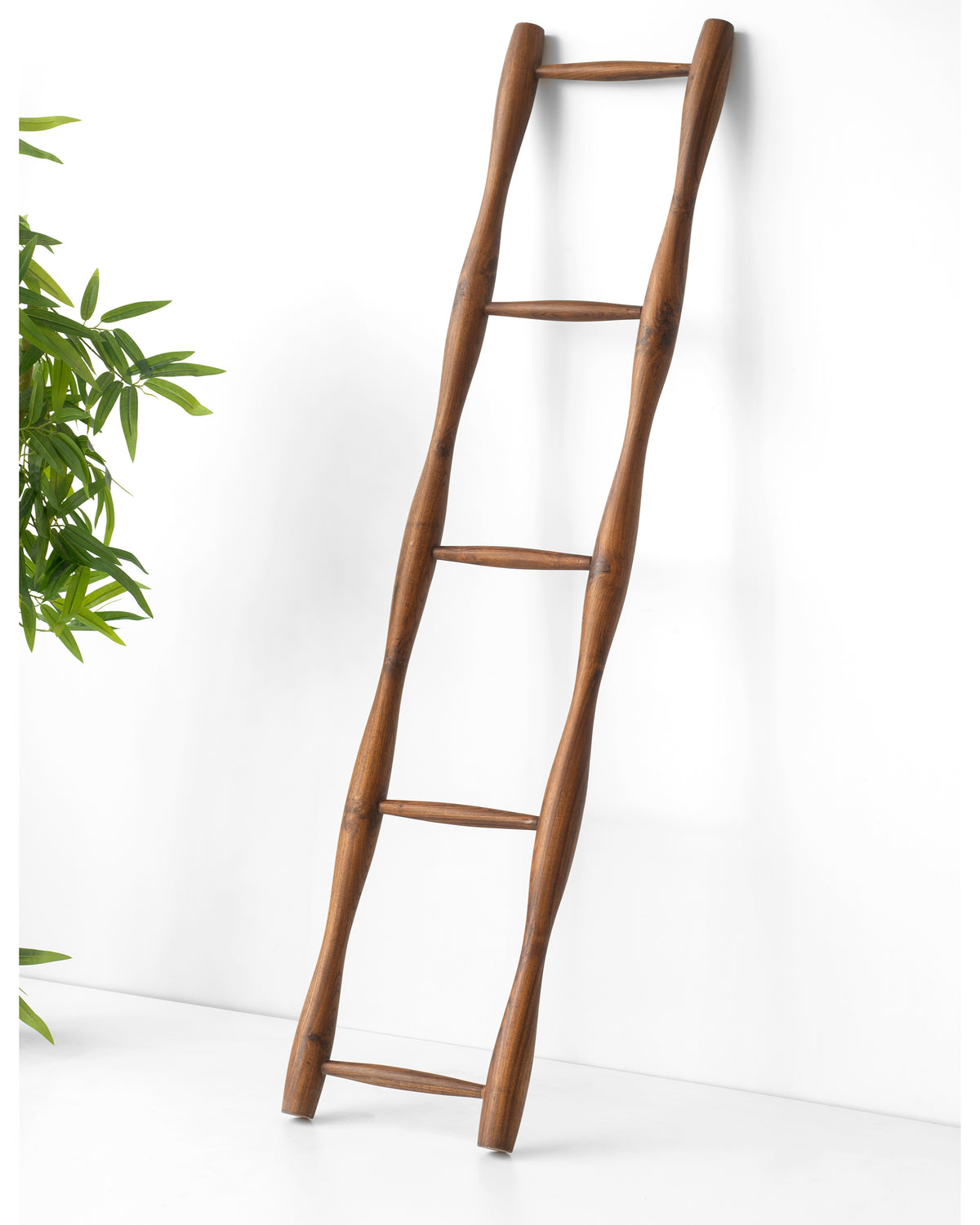 Ladder | Rangbagh