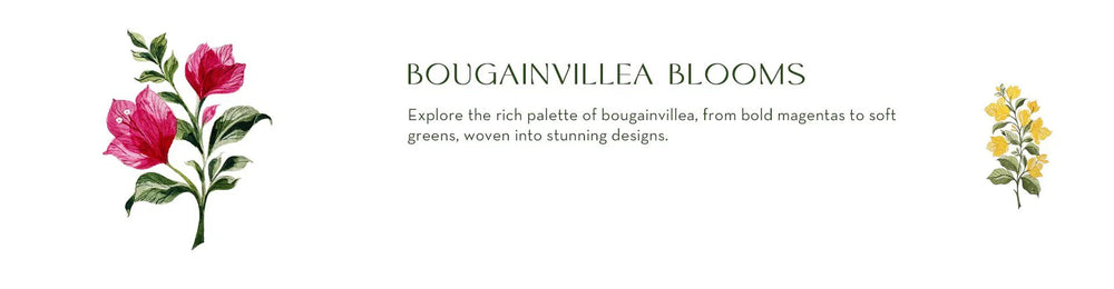 Bougainvillea Blooms | Rangbagh