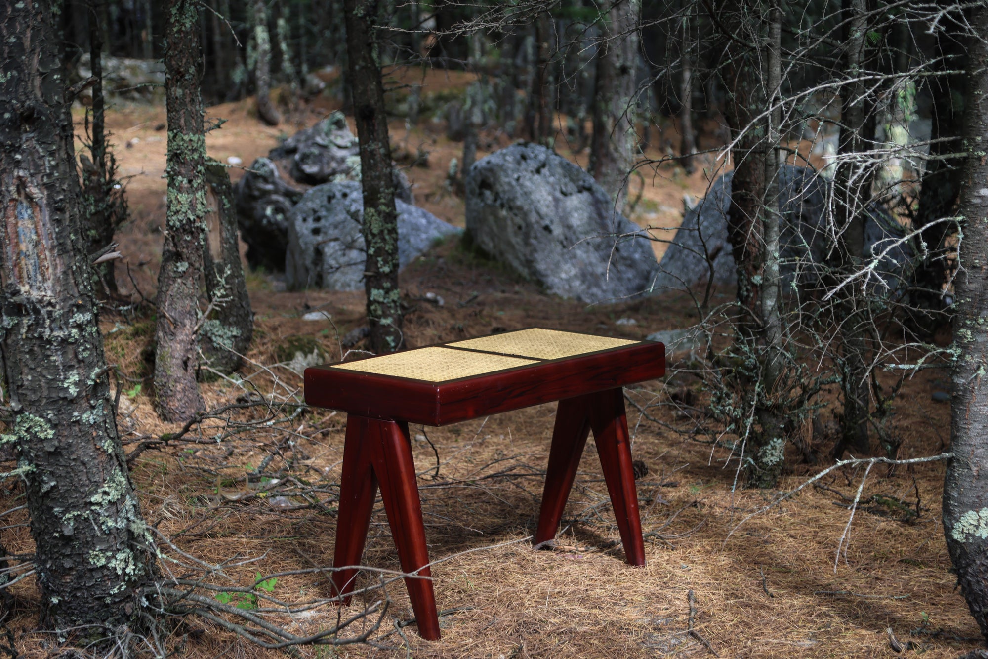 FURNITURE | Rangbagh