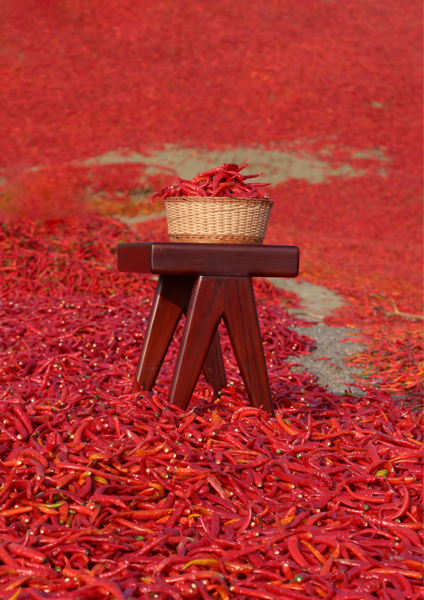 FURNITURE | Rangbagh