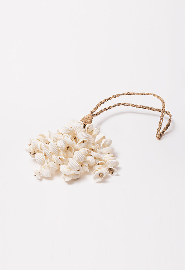 Shell Décor | Rangbagh