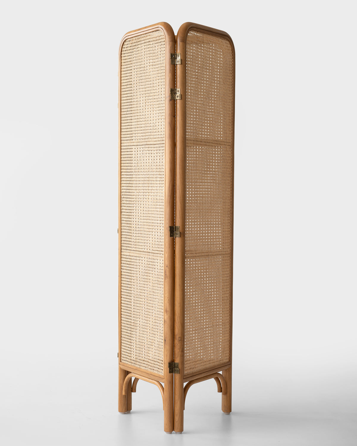 Mesh Partition | Rangbagh