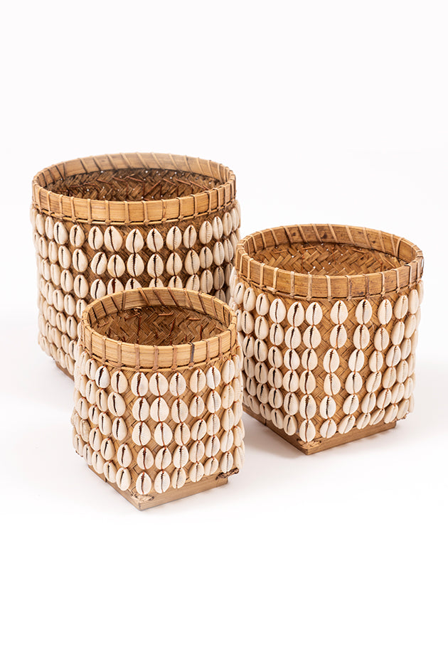 Shell Décor | Rangbagh