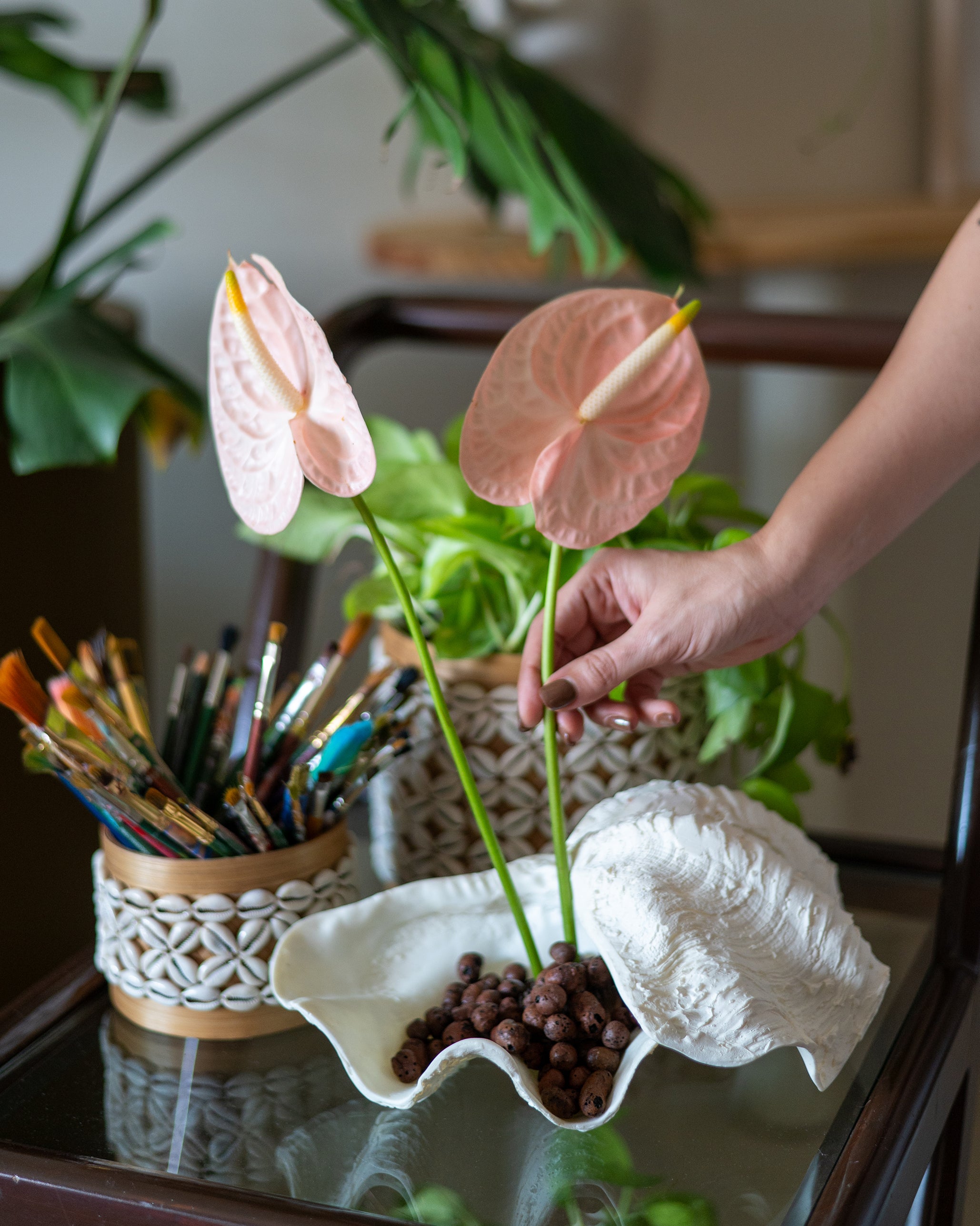 Shell Décor | Rangbagh