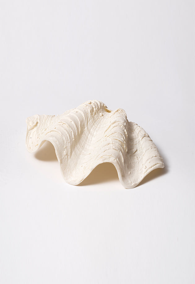 Shell Décor | Rangbagh