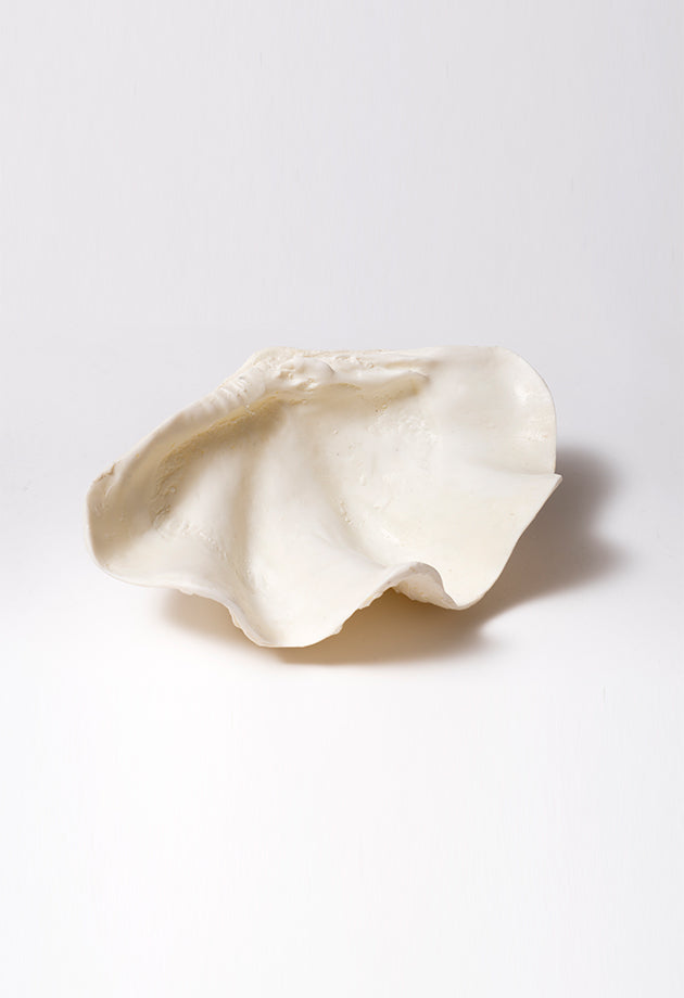 Shell Décor | Rangbagh