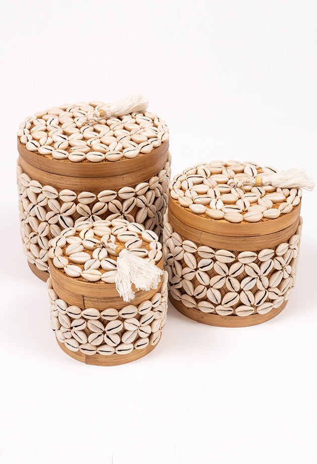 Shell Décor | Rangbagh