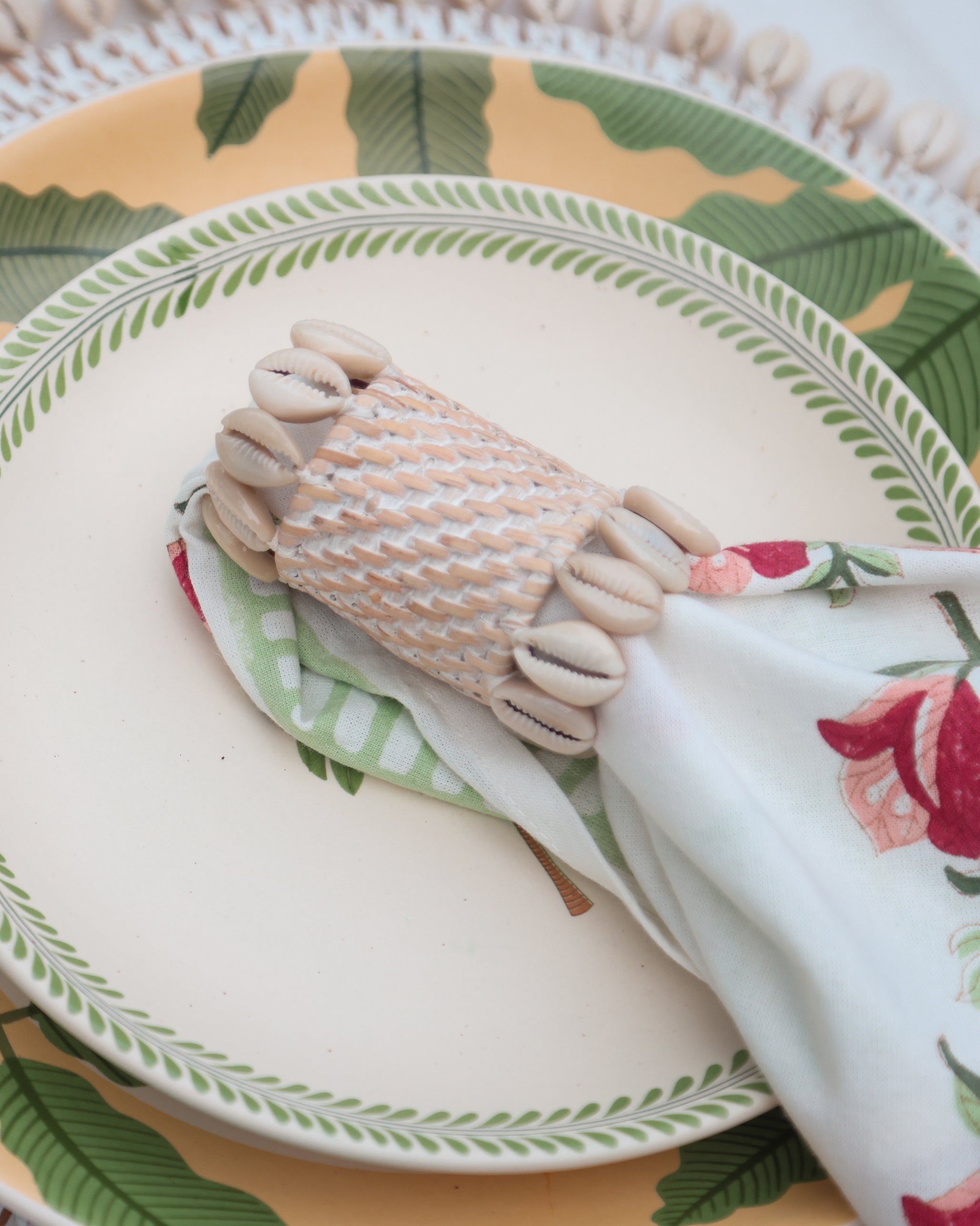 Shell Décor | Rangbagh