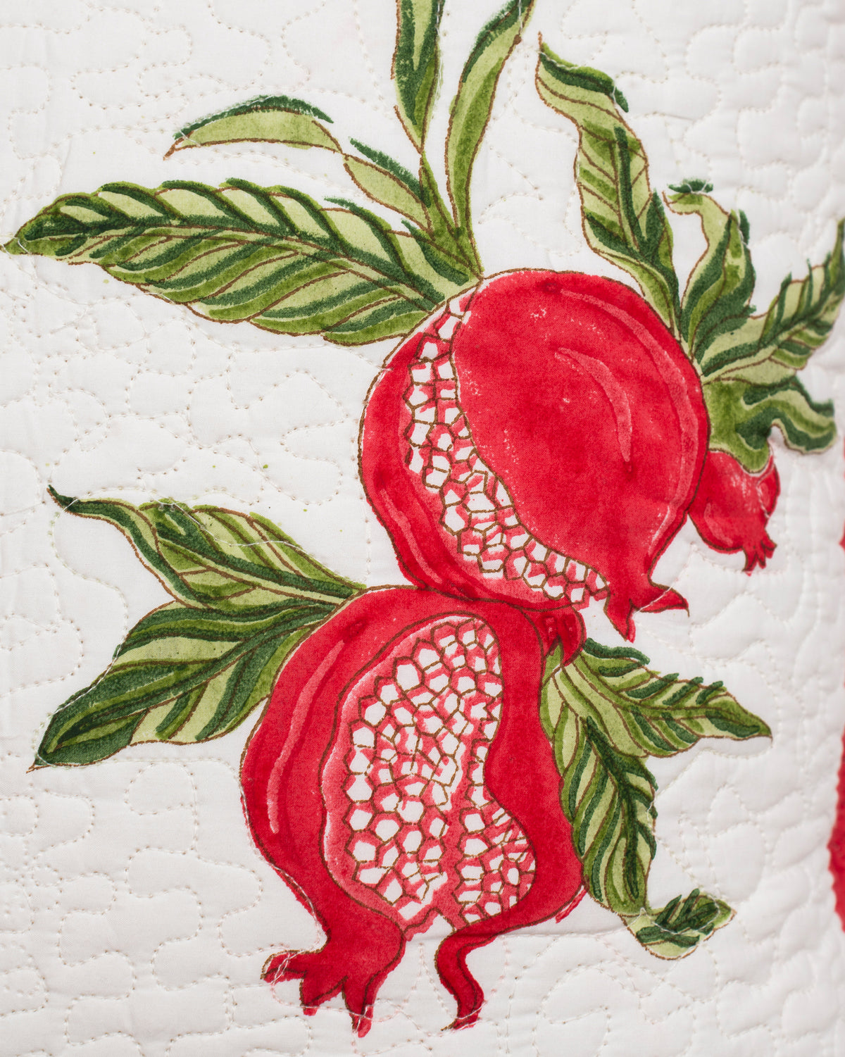 Pomegranate with Border Cushion Cover | Rangbagh