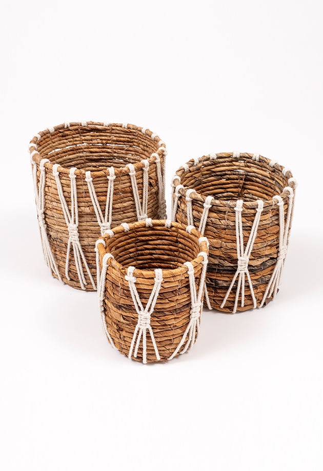 Basket | Rangbagh